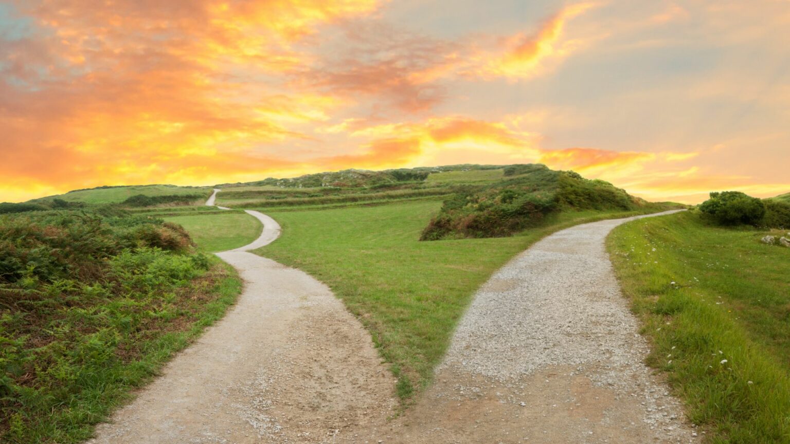 Programs & Services - Lightshare